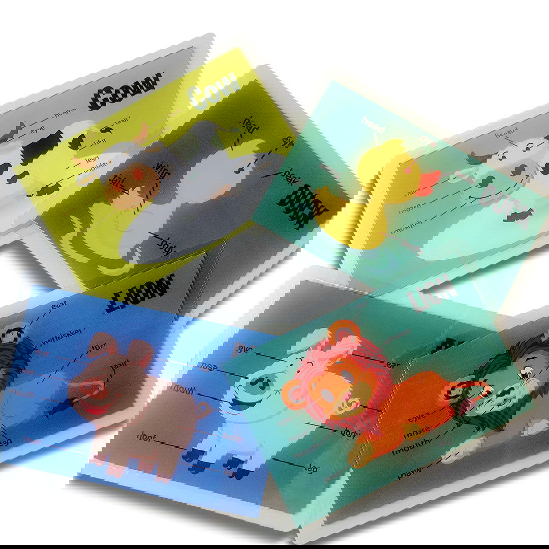 Animal Body Parts Flashcards – Tinycubs