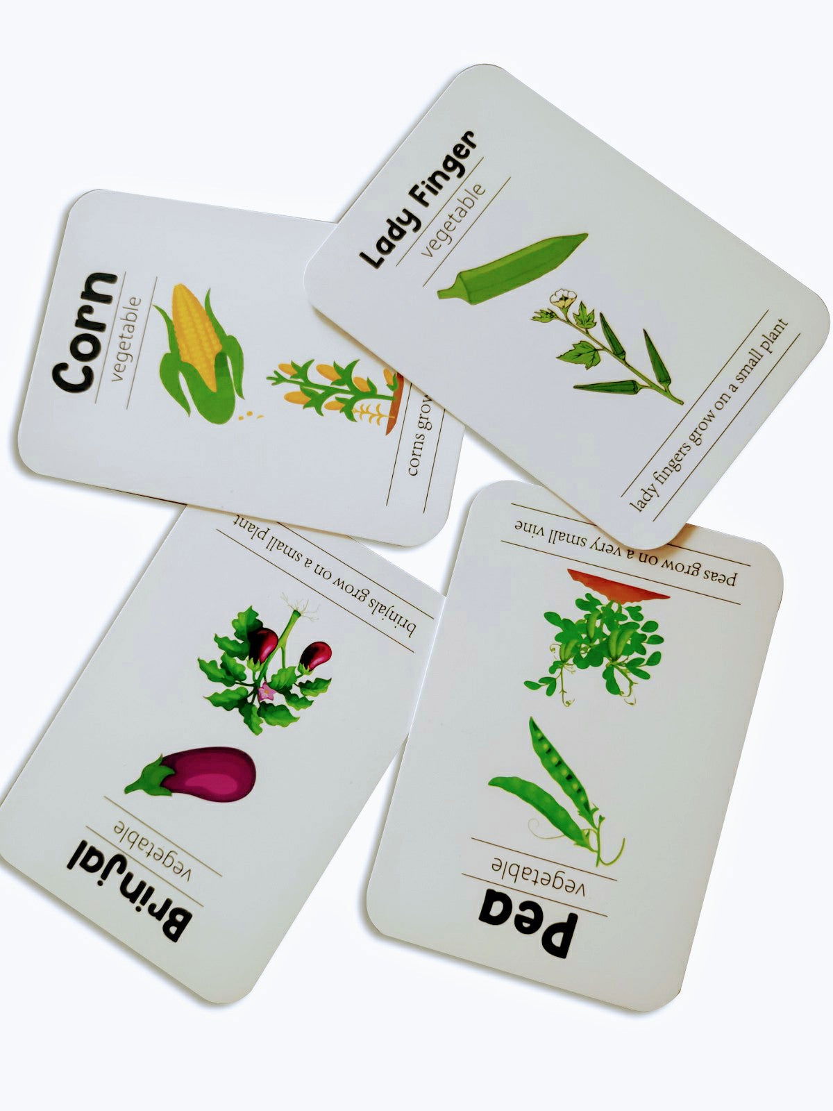 First flashcards combo pack - animals, fruits & vegetables, profession ...