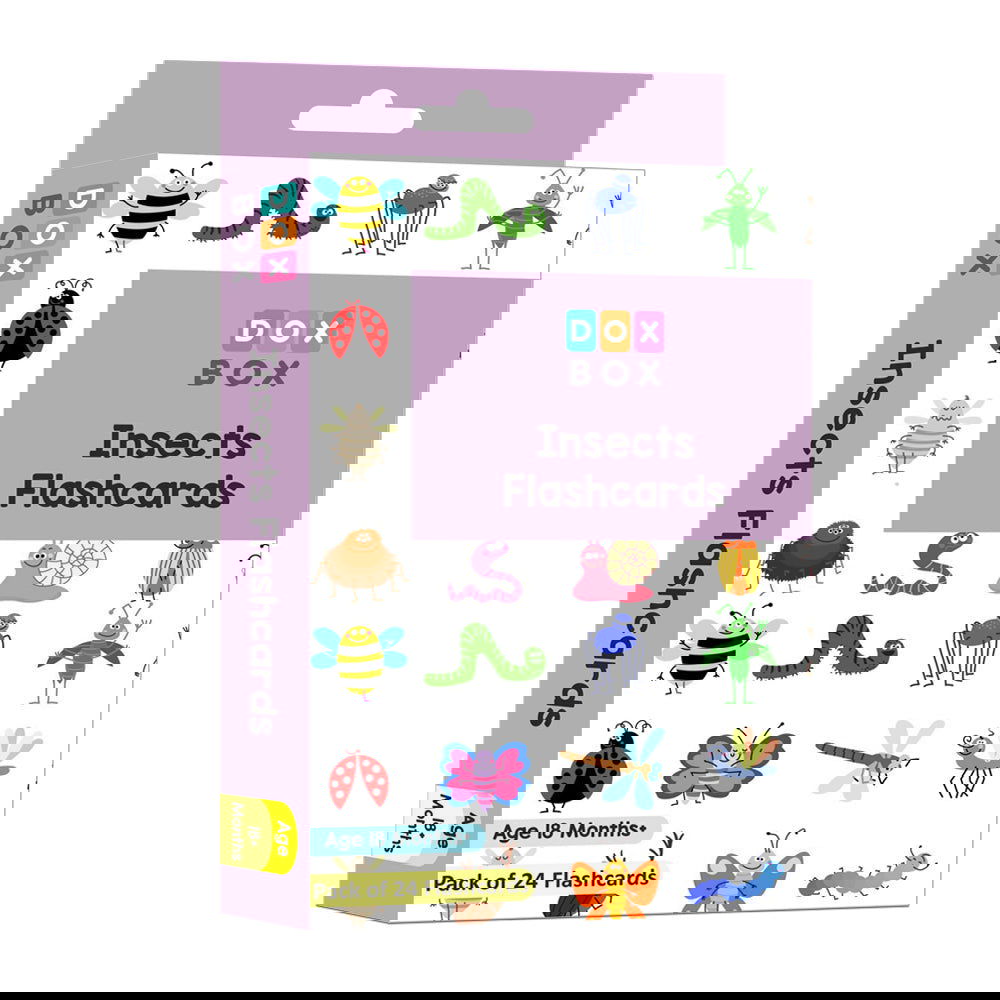 Insect Flash Cards- Pack of 24 – Tinycubs