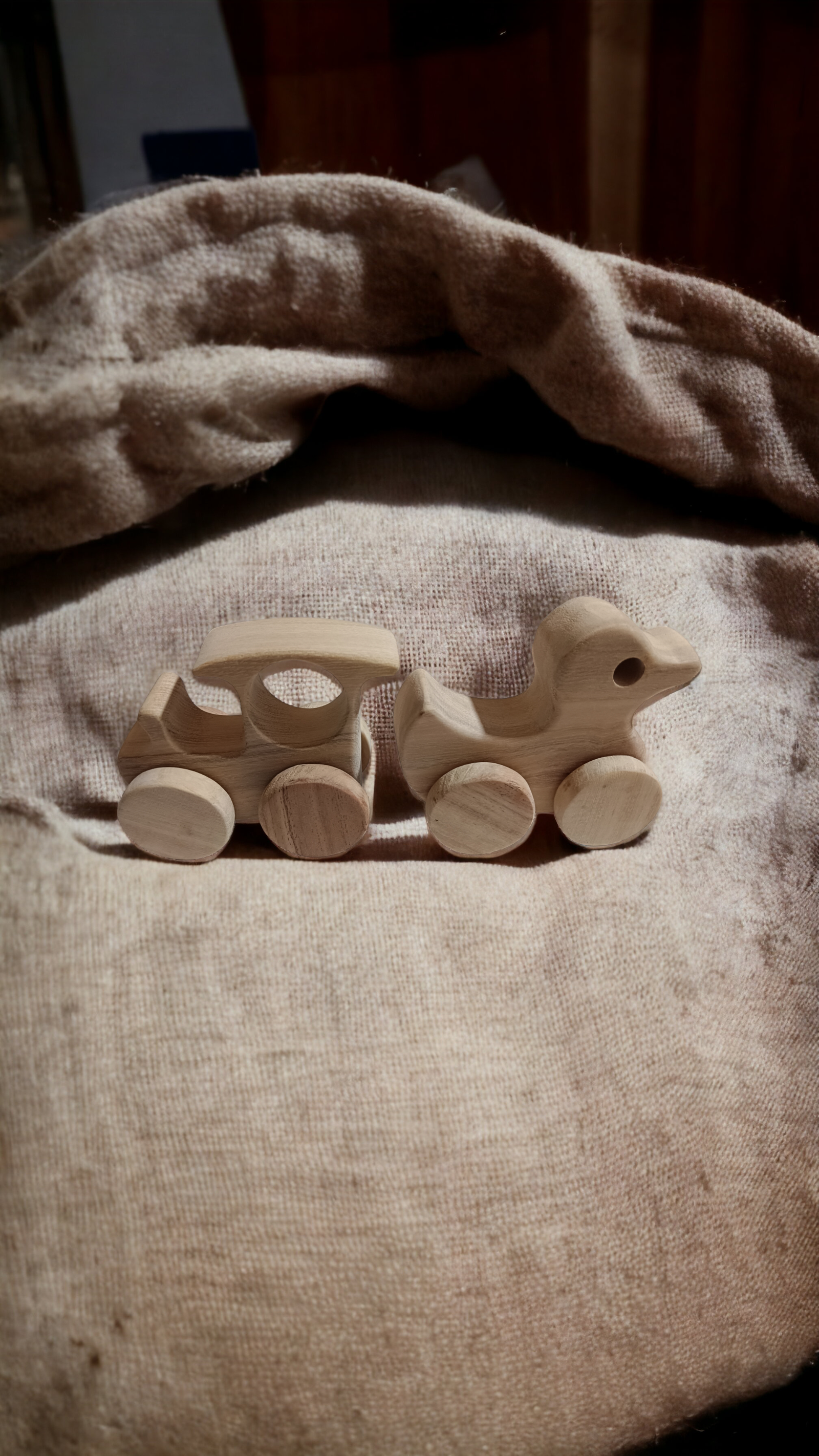 2-Pack Sustainable Neem Wood Train & Duck Wagon Toys – Tinycubs